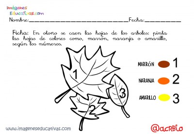 Coloreamos por números con motivos de otoño - Imagenes Educativas