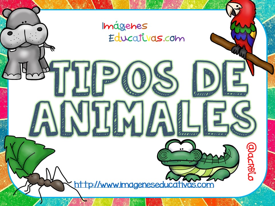 Tipos de animales claseficación (1) - Imagenes Educativas