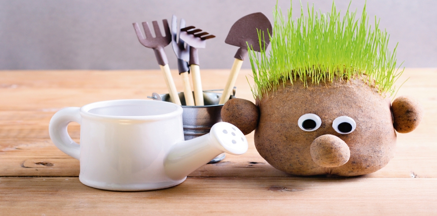 Divertida manualidad “Señor cabeza de pasto” - Imagenes Educativas