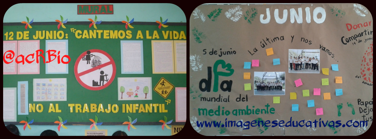 Magnificas ideas para el PERIÓDICO MURAL de JUNIO mes del Medio Ambiente