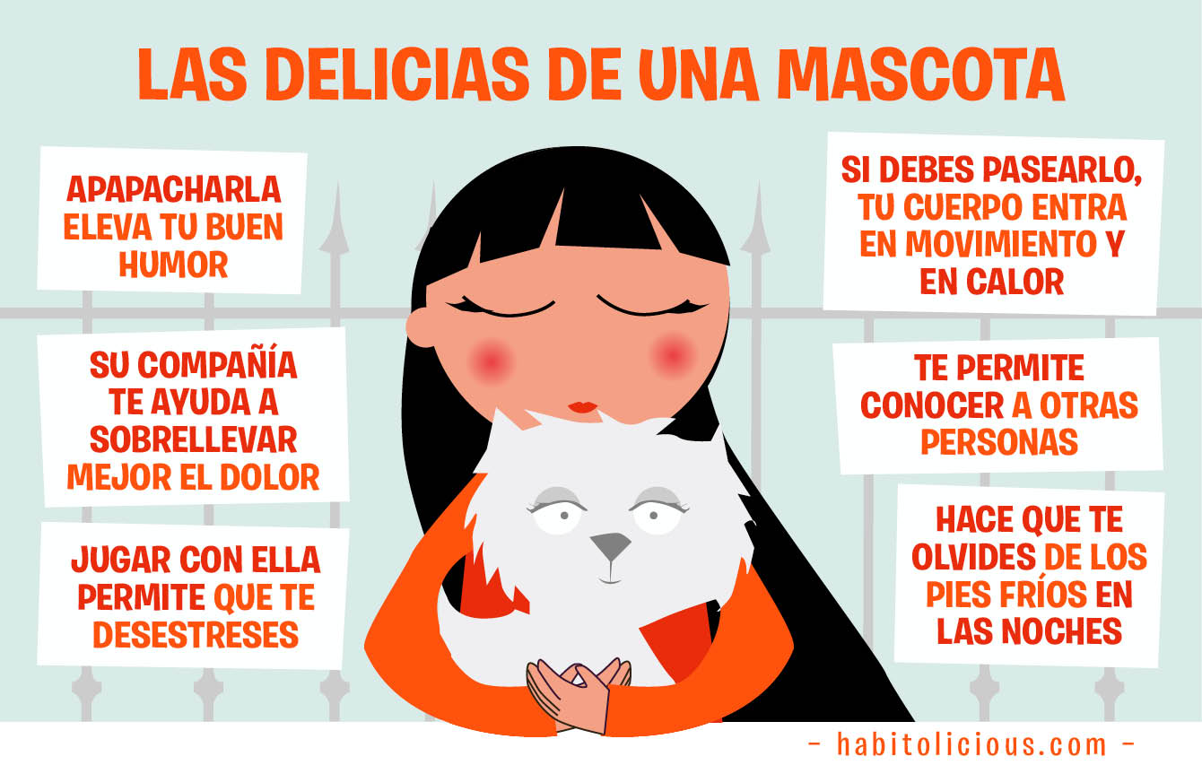 Beneficios de tener una mascota en casa - Imagenes Educativas