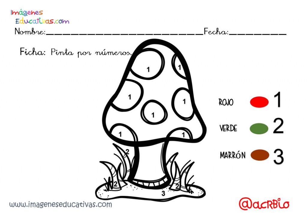 Coloreamos por números con motivos de otoño - Imagenes Educativas