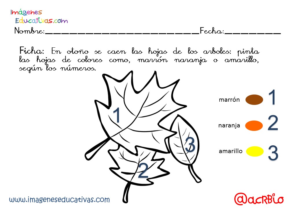 Fichas otoño infantil y primaria (2) - Imagenes Educativas