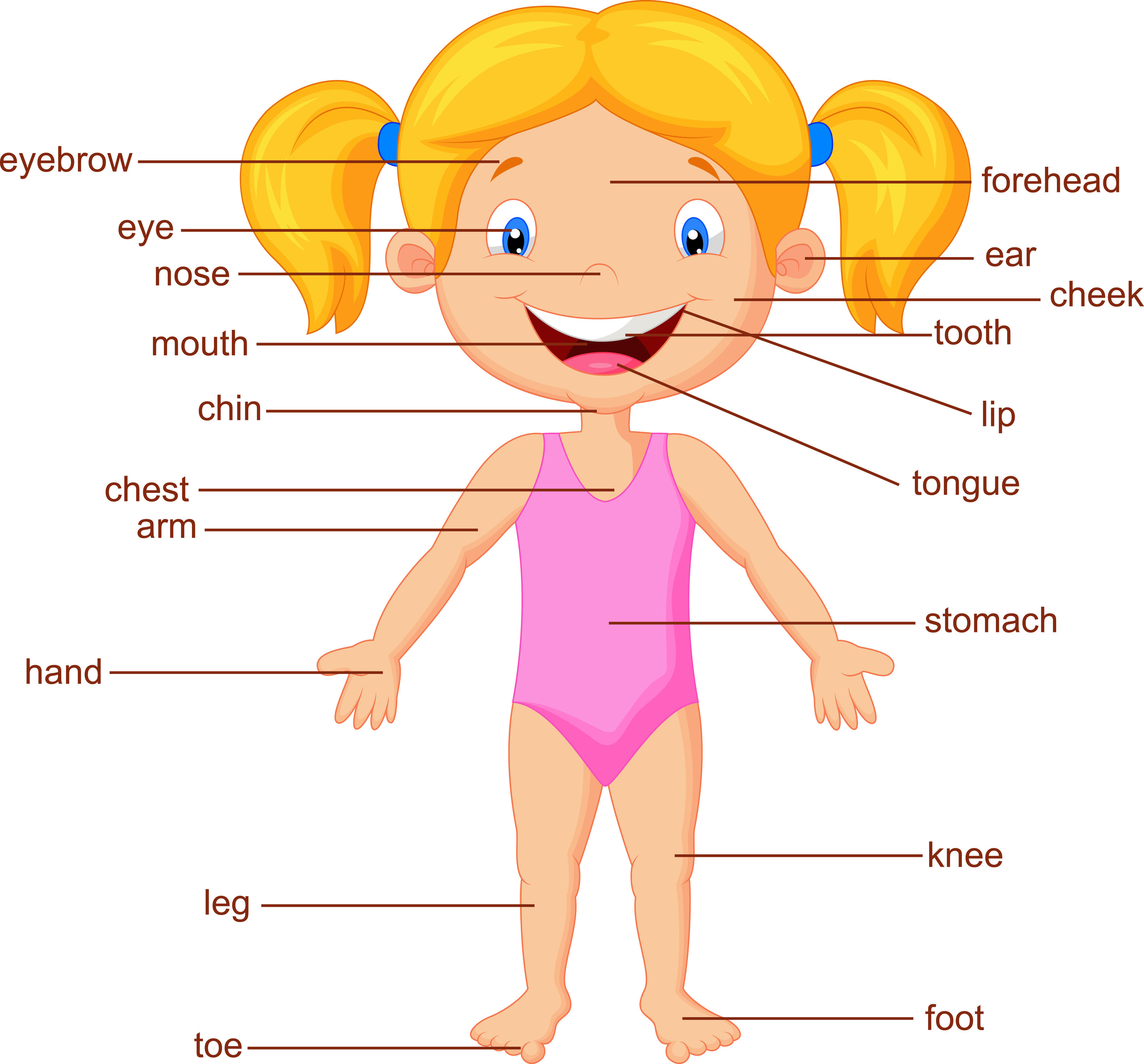 Partes del cuerpo ingles niñ - Imagenes Educativas