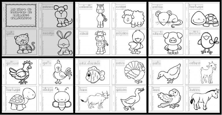Mi libro de colorear de animales salvajes - Imagenes Educativas