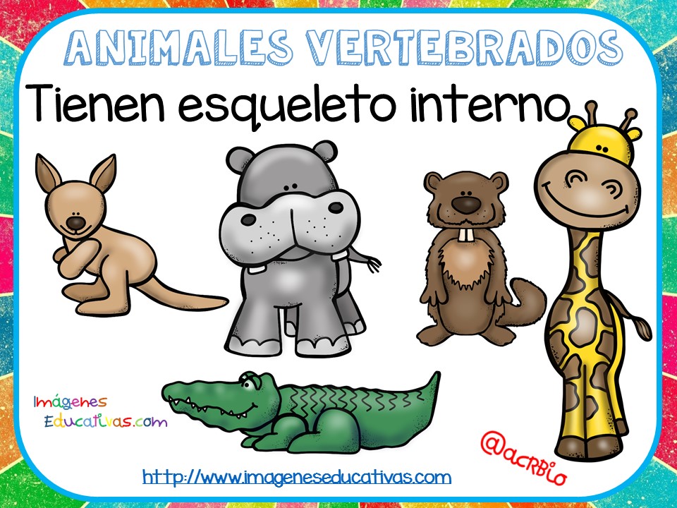 Tipos de animales claseficación (2) - Imagenes Educativas