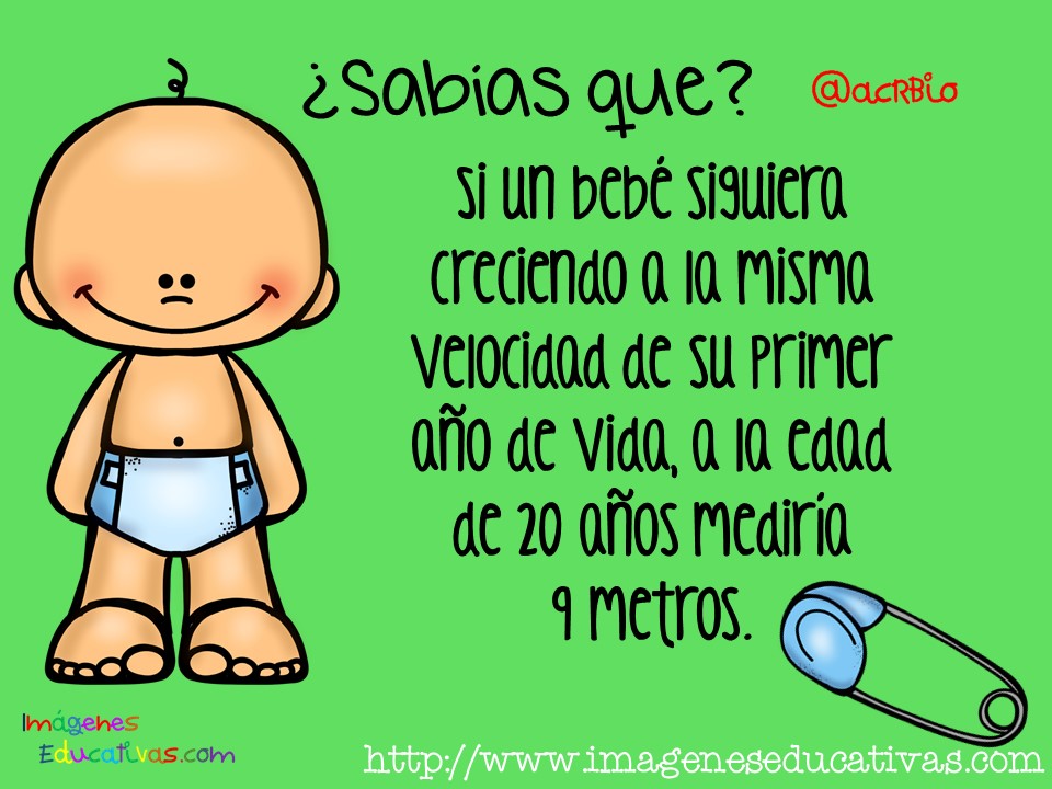 10 cosas que no sabías de tu bebé (4) - Imagenes Educativas