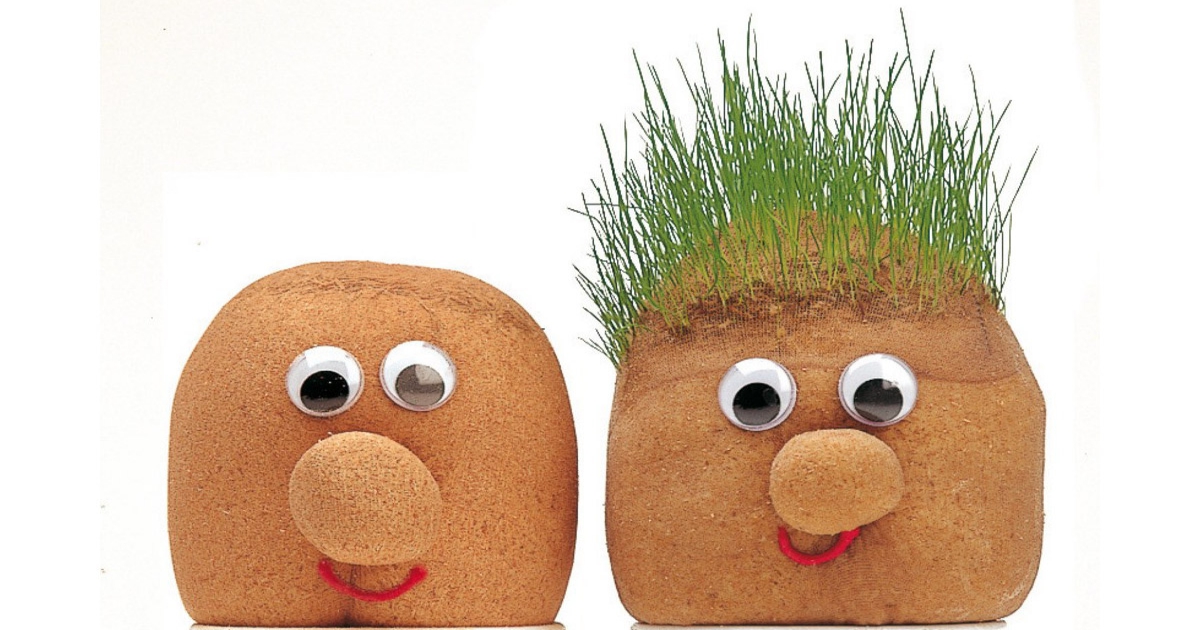 señor cabeza de pasto - Imagenes Educativas