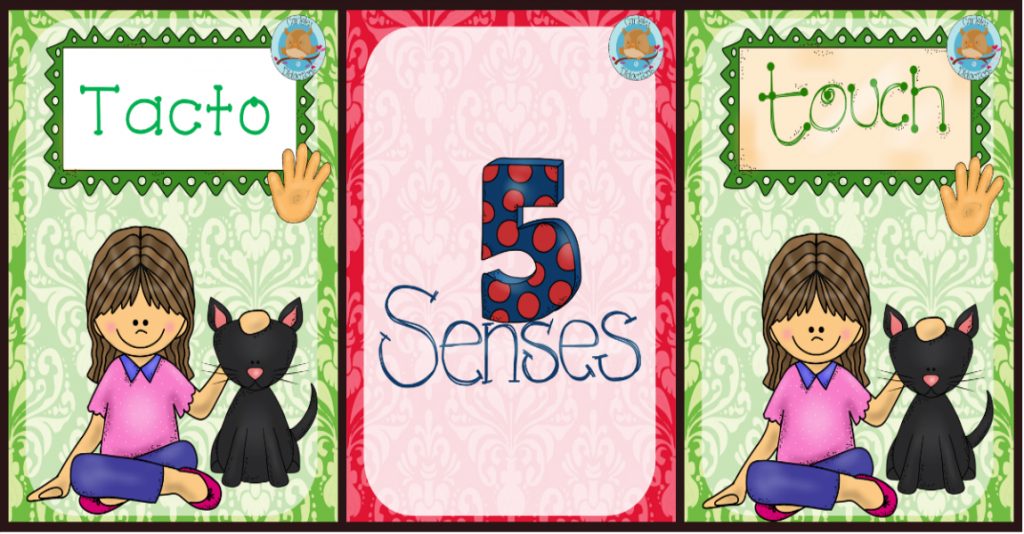 CARTELES DIDÁCTICOS Los 5 sentidos - Imagenes Educativas