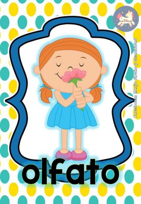 CARTELES DIDÁCTICOS Los 5 sentidos - Imagenes Educativas