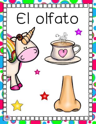 CARTELES DIDÁCTICOS Los 5 sentidos - Imagenes Educativas