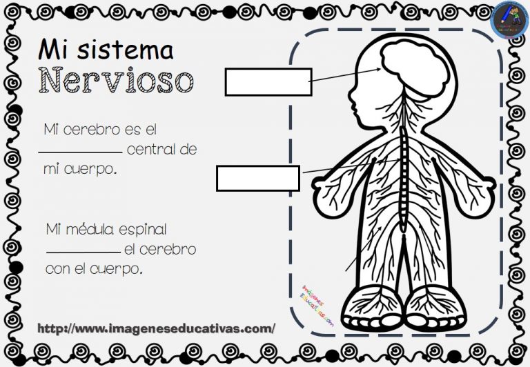 cuadernillo Como funciona mi cuerpo (4) - Imagenes Educativas
