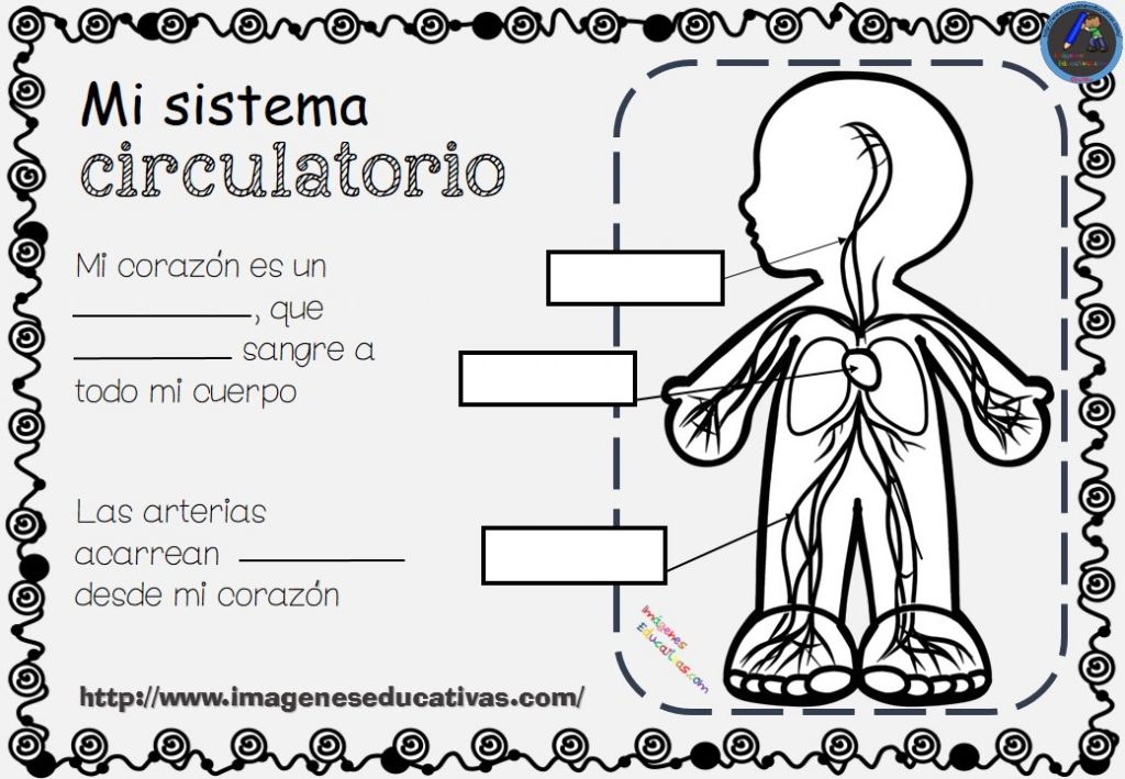 cuadernillo Como funciona mi cuerpo (5) - Imagenes Educativas