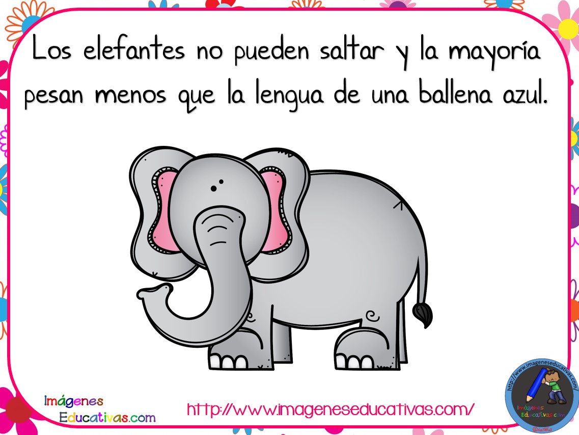 Datos curiosos de animales que no conocías (1) - Imagenes Educativas