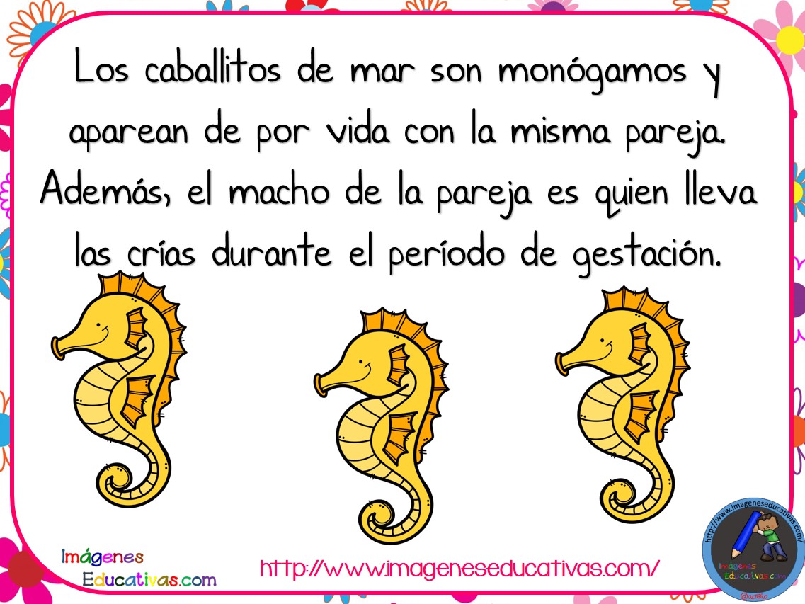 Datos curiosos de animales que no conocías (10) - Imagenes Educativas