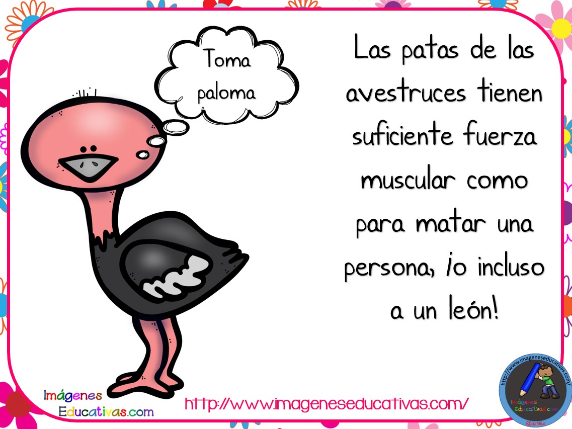 Datos curiosos de animales que no conocías (16) - Imagenes Educativas