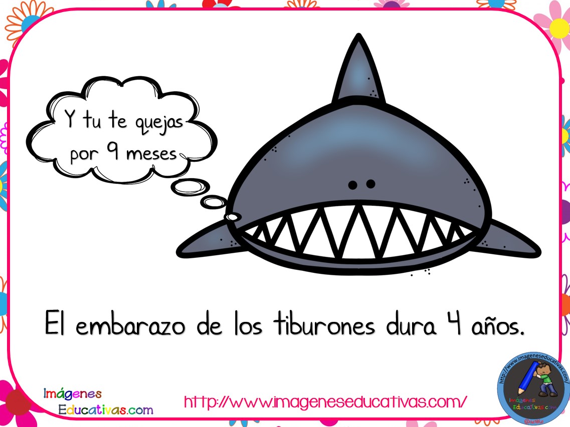 Datos curiosos de animales que no conocías (5) - Imagenes Educativas