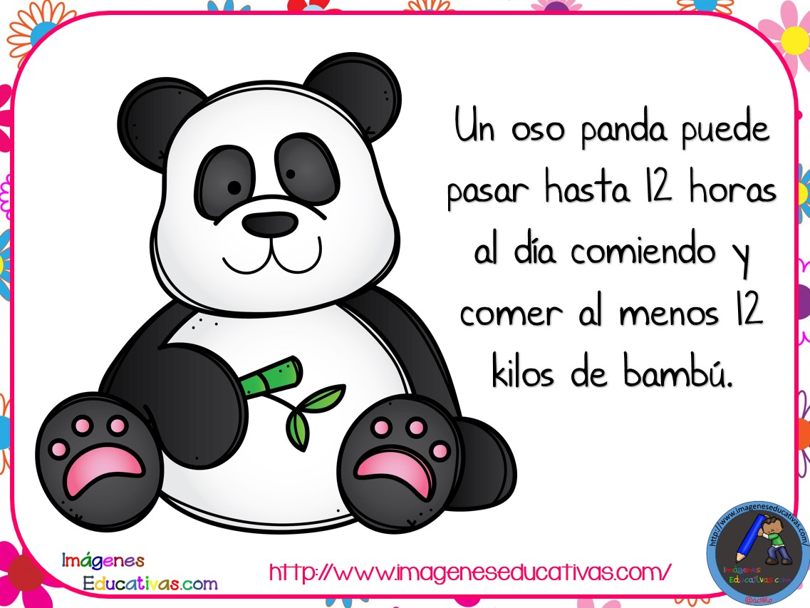 Datos curiosos de animales que no conocías (7) - Imagenes Educativas