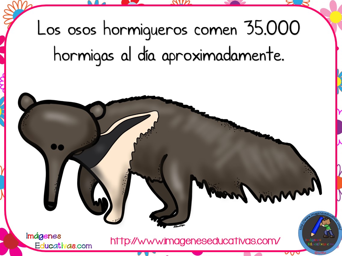 Datos curiosos de animales que no conocías (9) - Imagenes Educativas