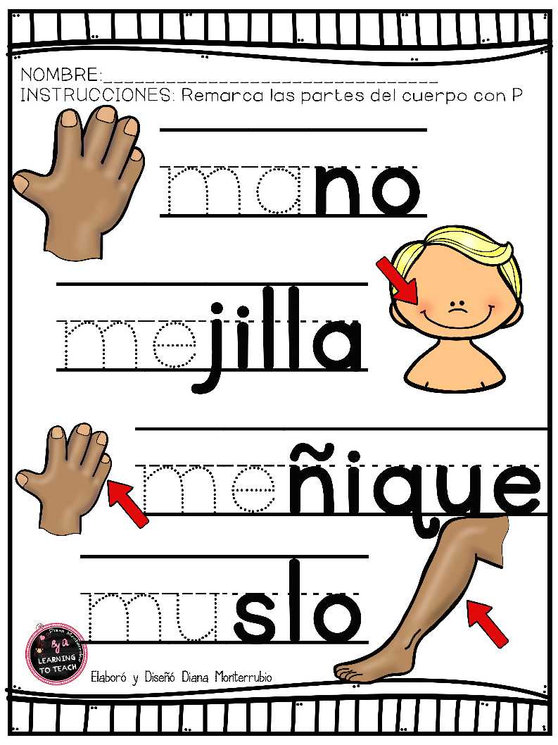 CUADERNO INTERACTIVO PARA APRENDER LAS PARTES DEL CUERPO HUMANO ...