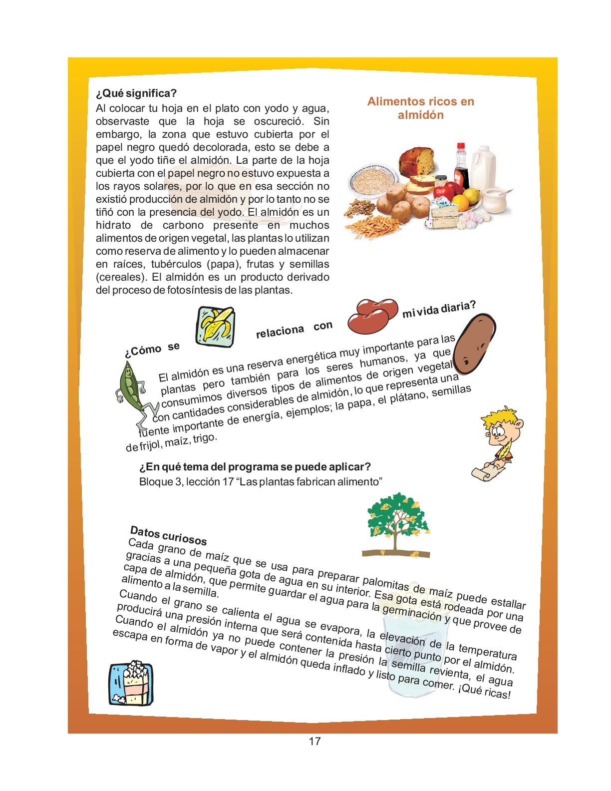 50 Experimentos De Ciencia Para Hacer En Clase Y En Casa Imagenes