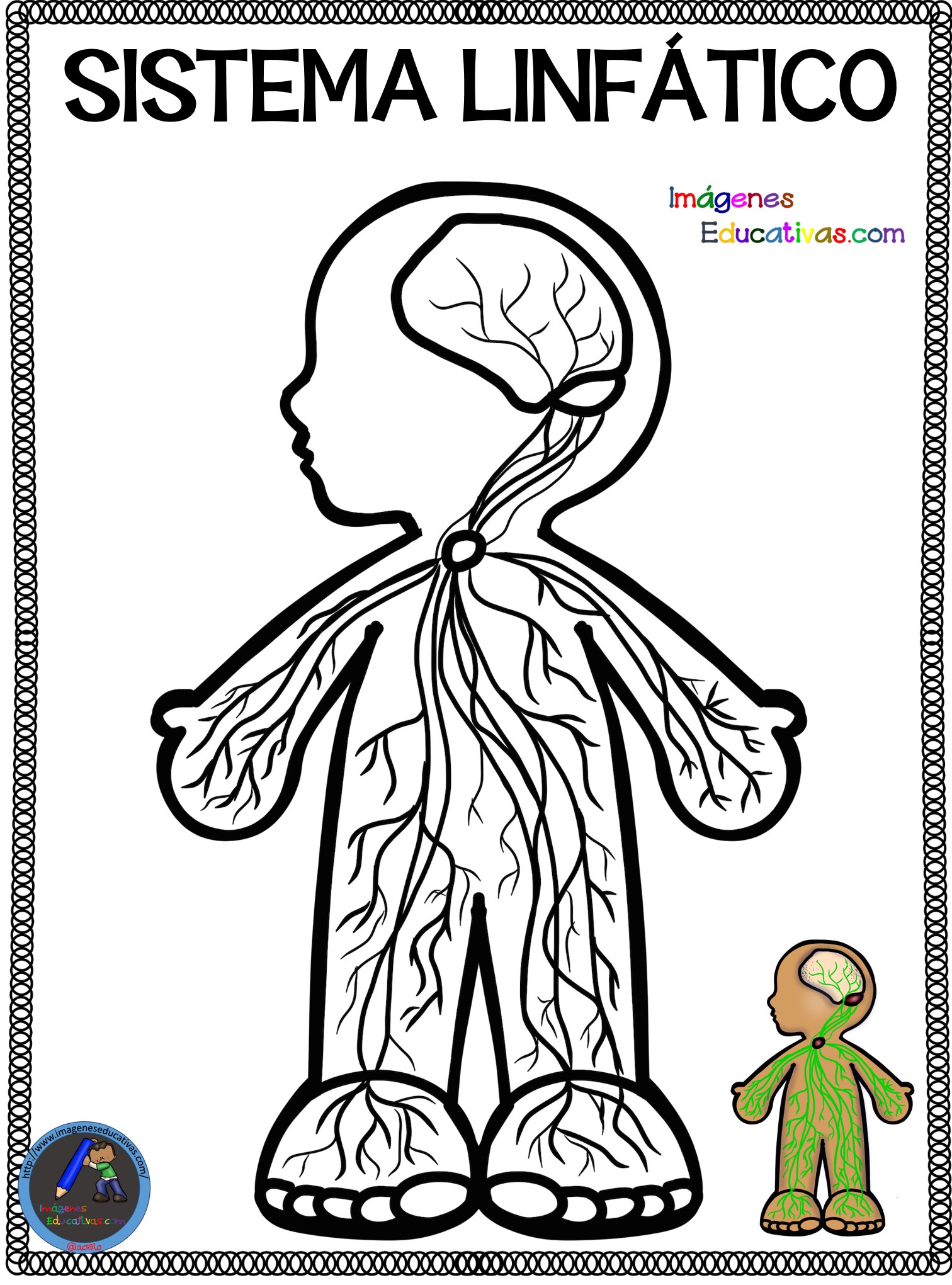 Cuaderno Para Colorear El Cuerpo Humano 12 Imagenes Educativas