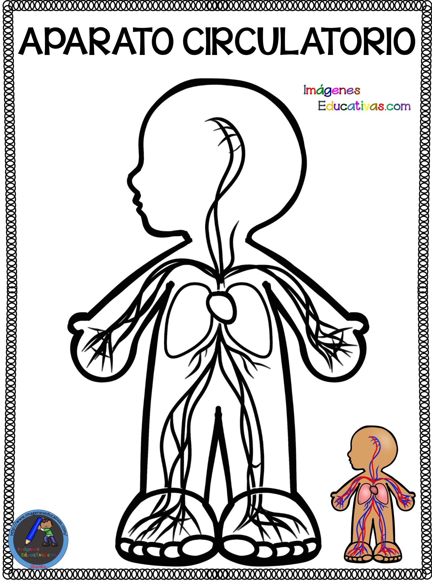 Cuaderno Para Colorear El Cuerpo Humano 2 Imagenes Educativas