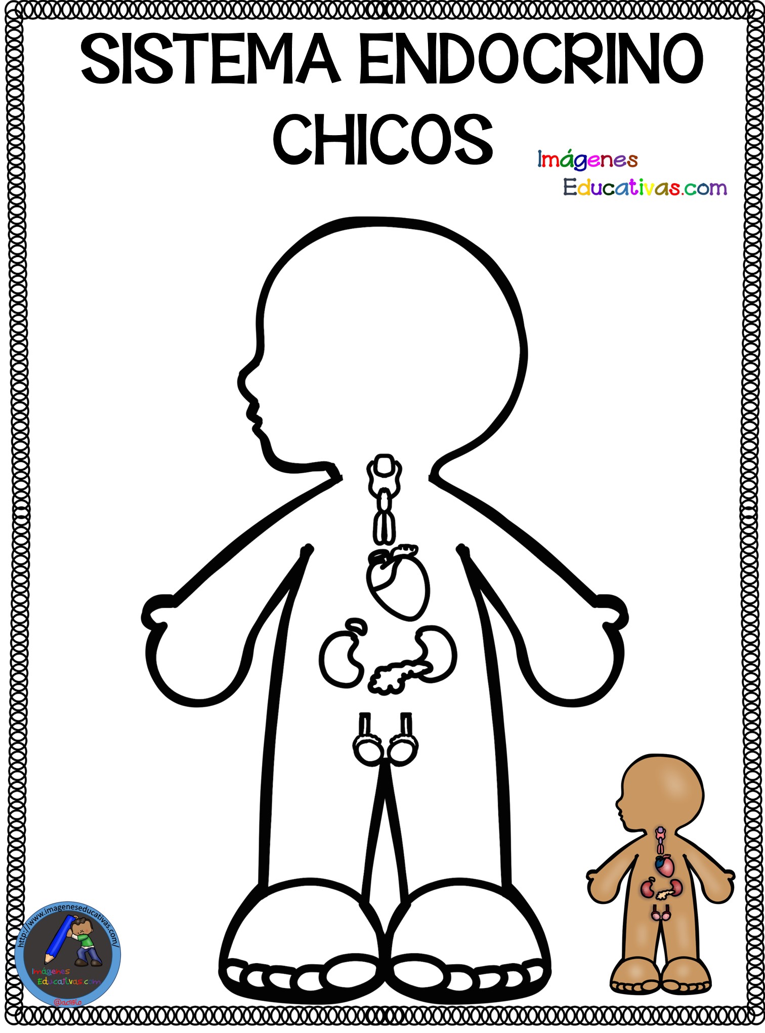 Cuaderno Para Colorear El Cuerpo Humano 4 Imagenes Educativas