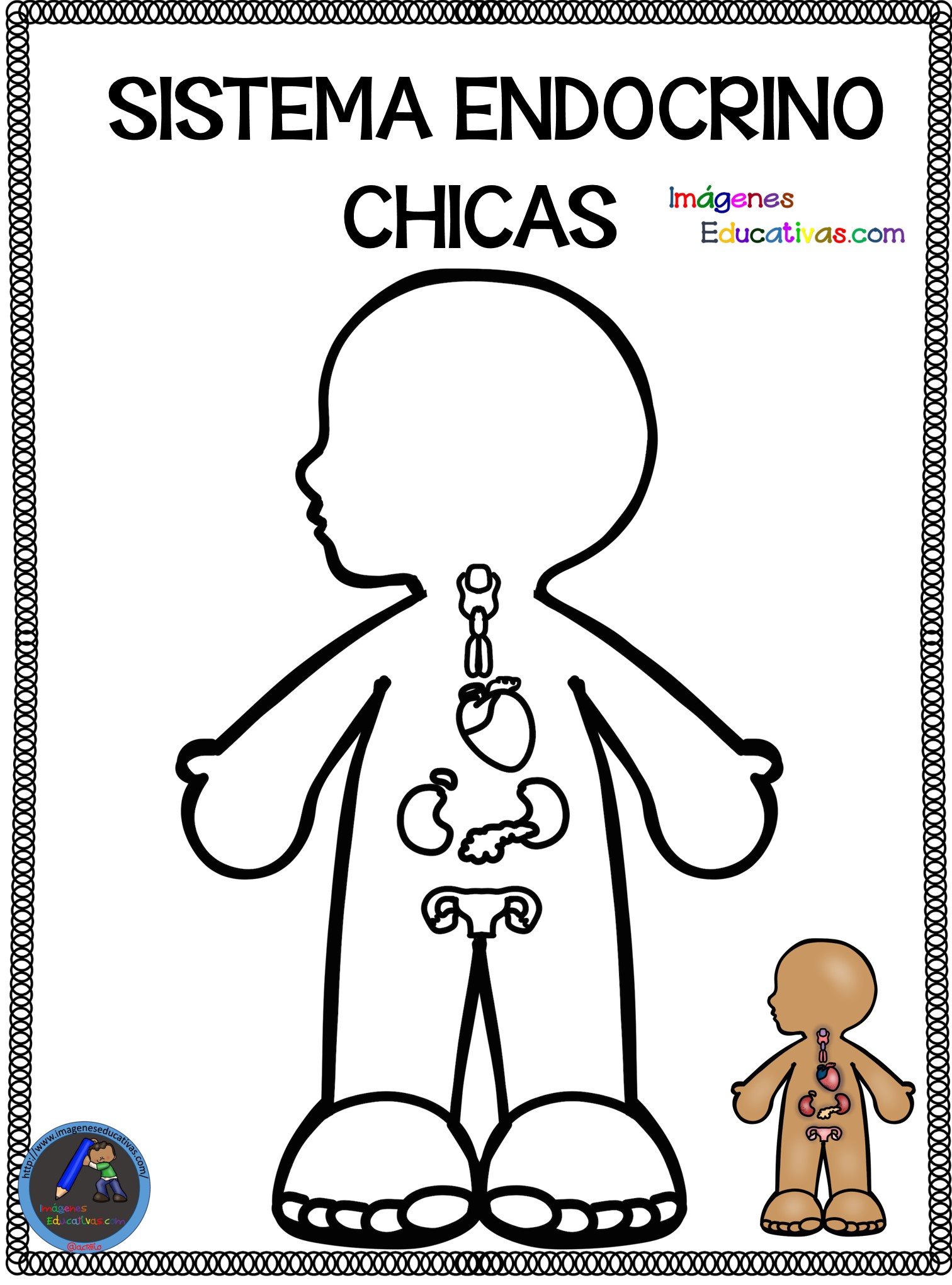 Cuaderno Del Cuerpo Humano Para Colorear Imagenes Educativas