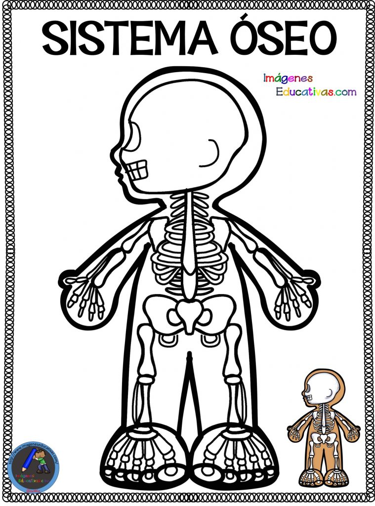 Cuaderno del Cuerpo Humano para colorear - Imagenes Educativas Cuaderno del Cuerpo Humano para colorear - Imagenes Educativas