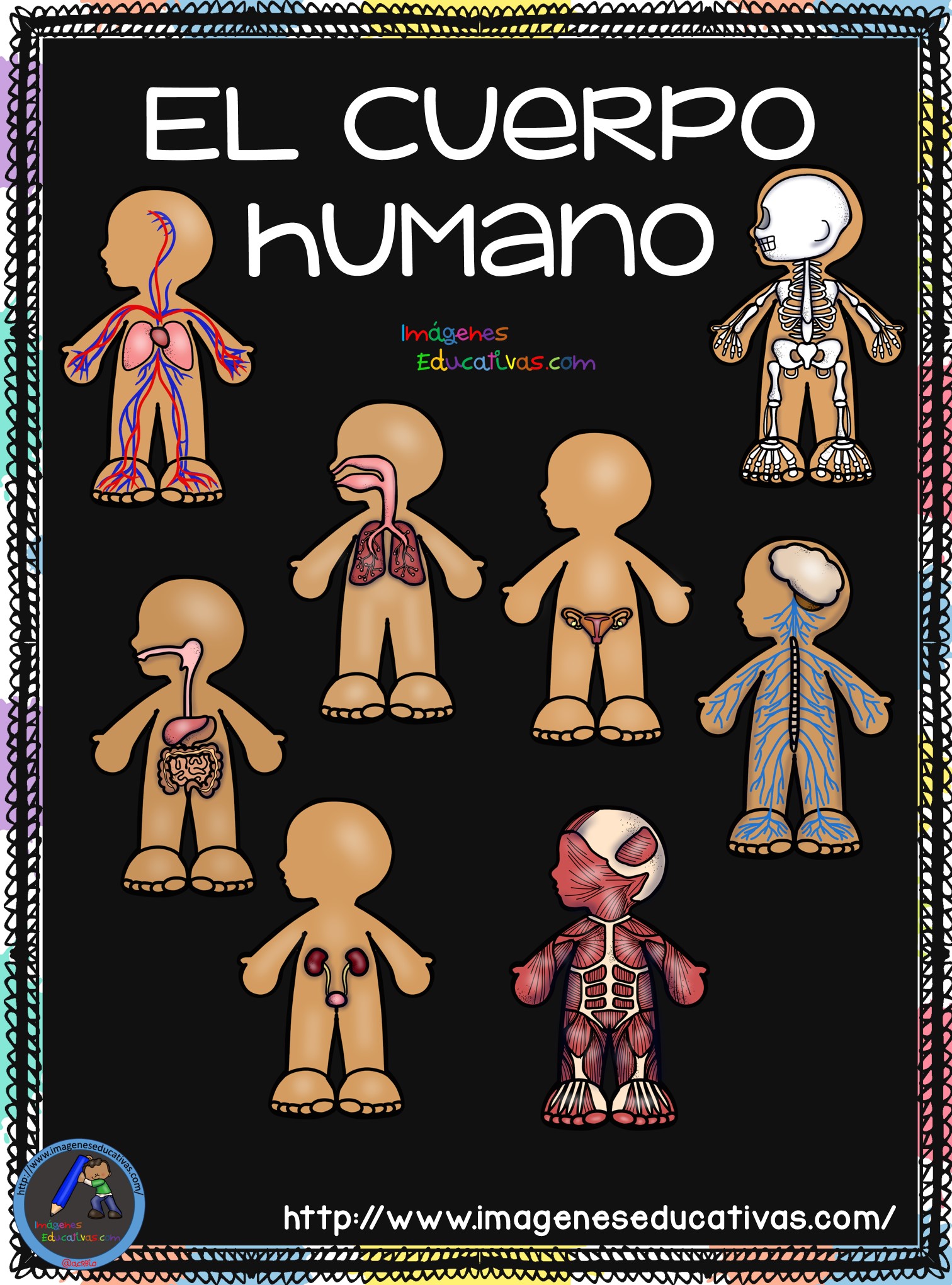 El Cuerpo Humano 2018 1 Imagenes Educativas