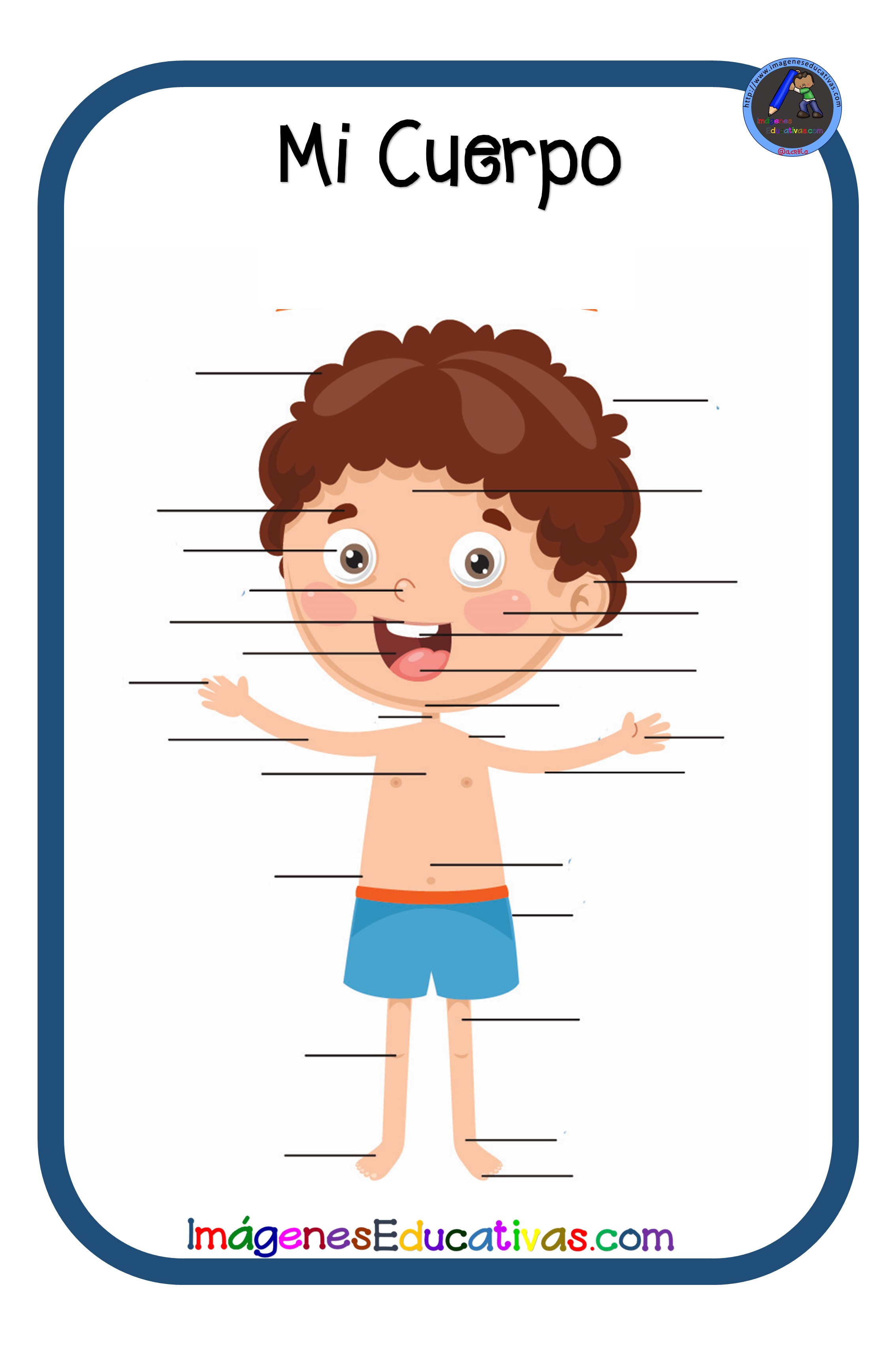 LÁMINAS CUERPO HUMANO PRIMARIA (1) - Imagenes Educativas