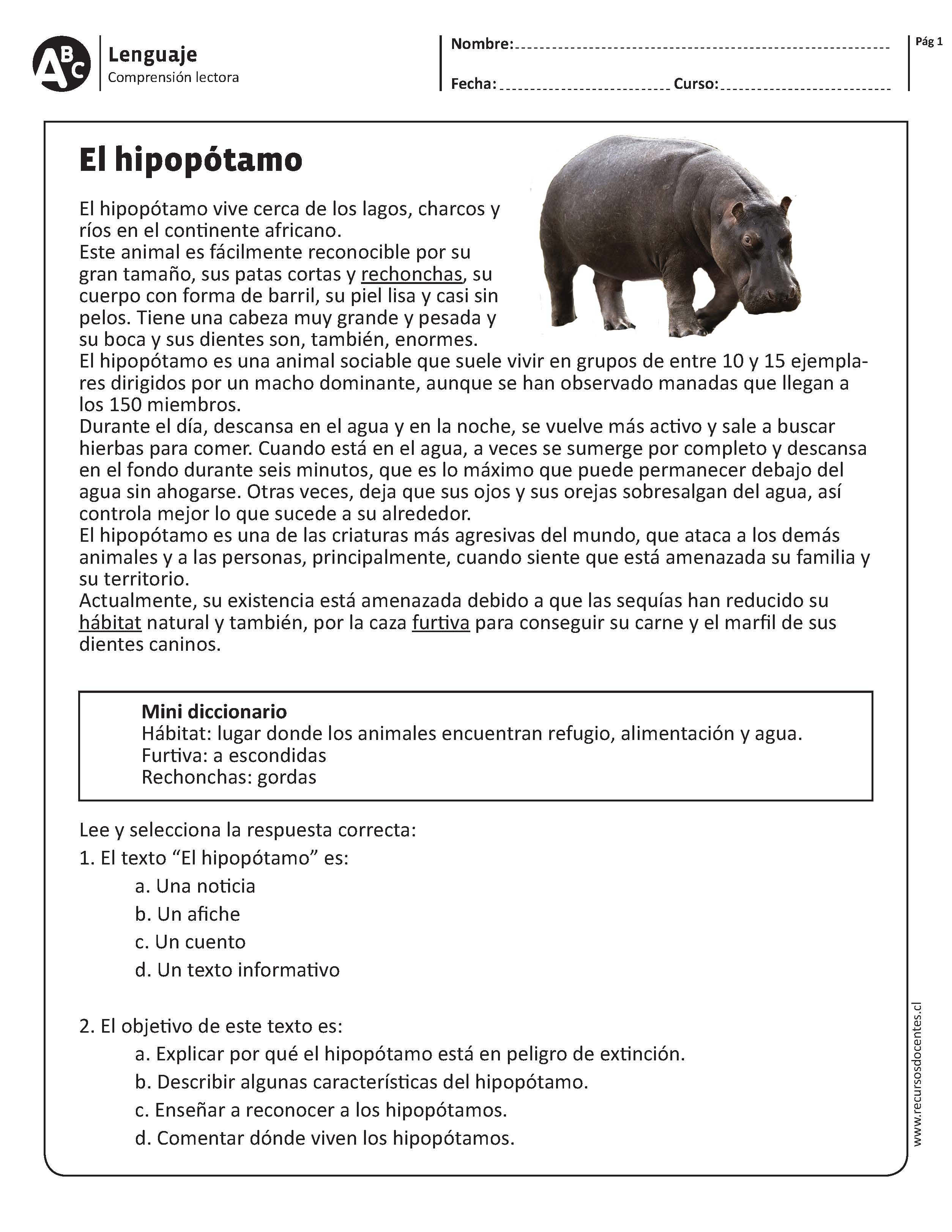 COMPRENSIÓN-LECTORA-PRIMARIA-Y-PRIMER-GRADO_Página_48 - Imagenes Educativas