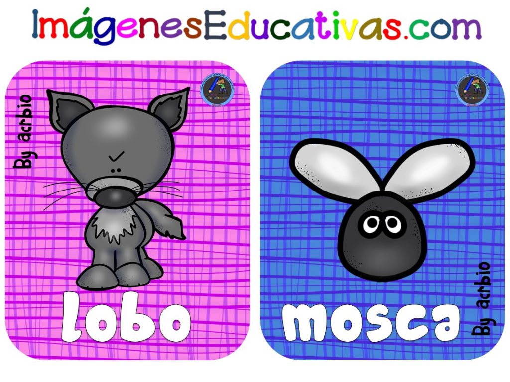 Lotería de Animales 3 TAMAÑOS Y 40 CARTA - Imagenes Educativas