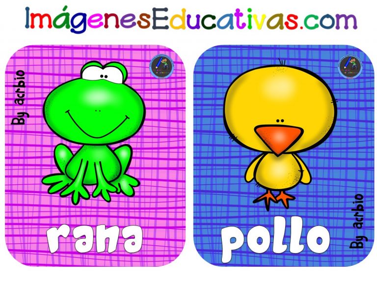 Lotería de Animales 3 TAMAÑOS Y 40 CARTA - Imagenes Educativas