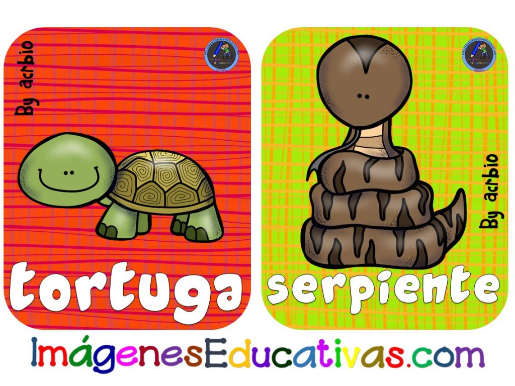 Lotería de Animales 3 TAMAÑOS Y 40 CARTA - Imagenes Educativas