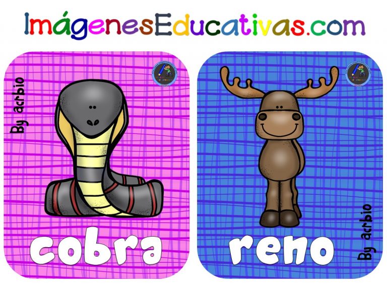 Lotería de Animales 3 TAMAÑOS Y 40 CARTA - Imagenes Educativas