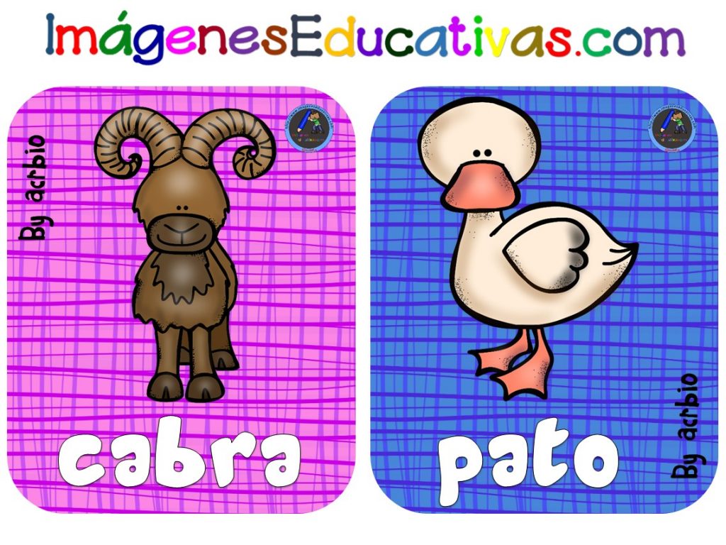 Lotería de Animales 3 TAMAÑOS Y 40 CARTA - Imagenes Educativas
