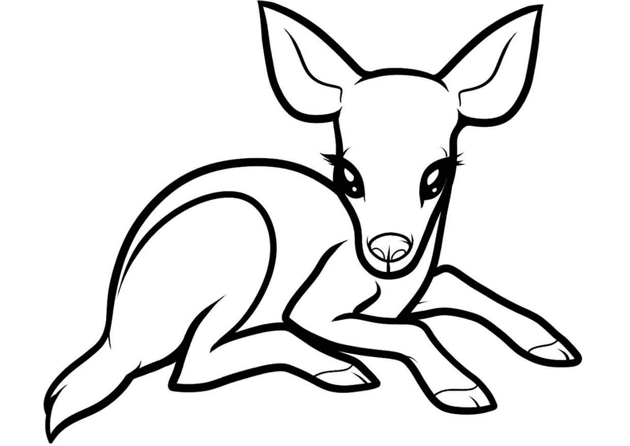 500 DIBUJOS PARA COLOREAR - Imagenes Educativas