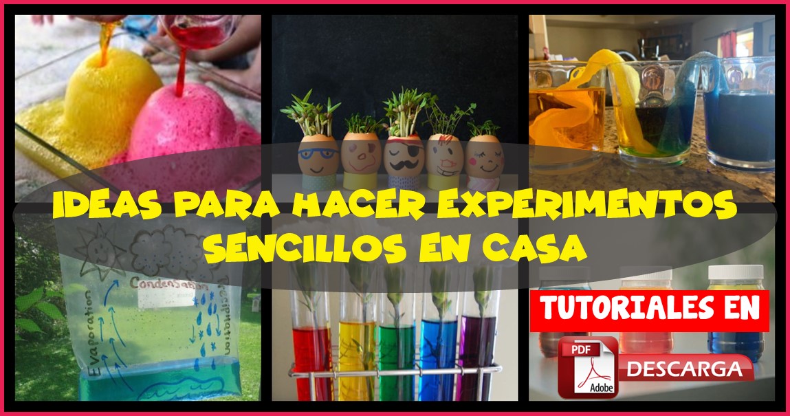 experimentos Archivos - Imagenes Educativas