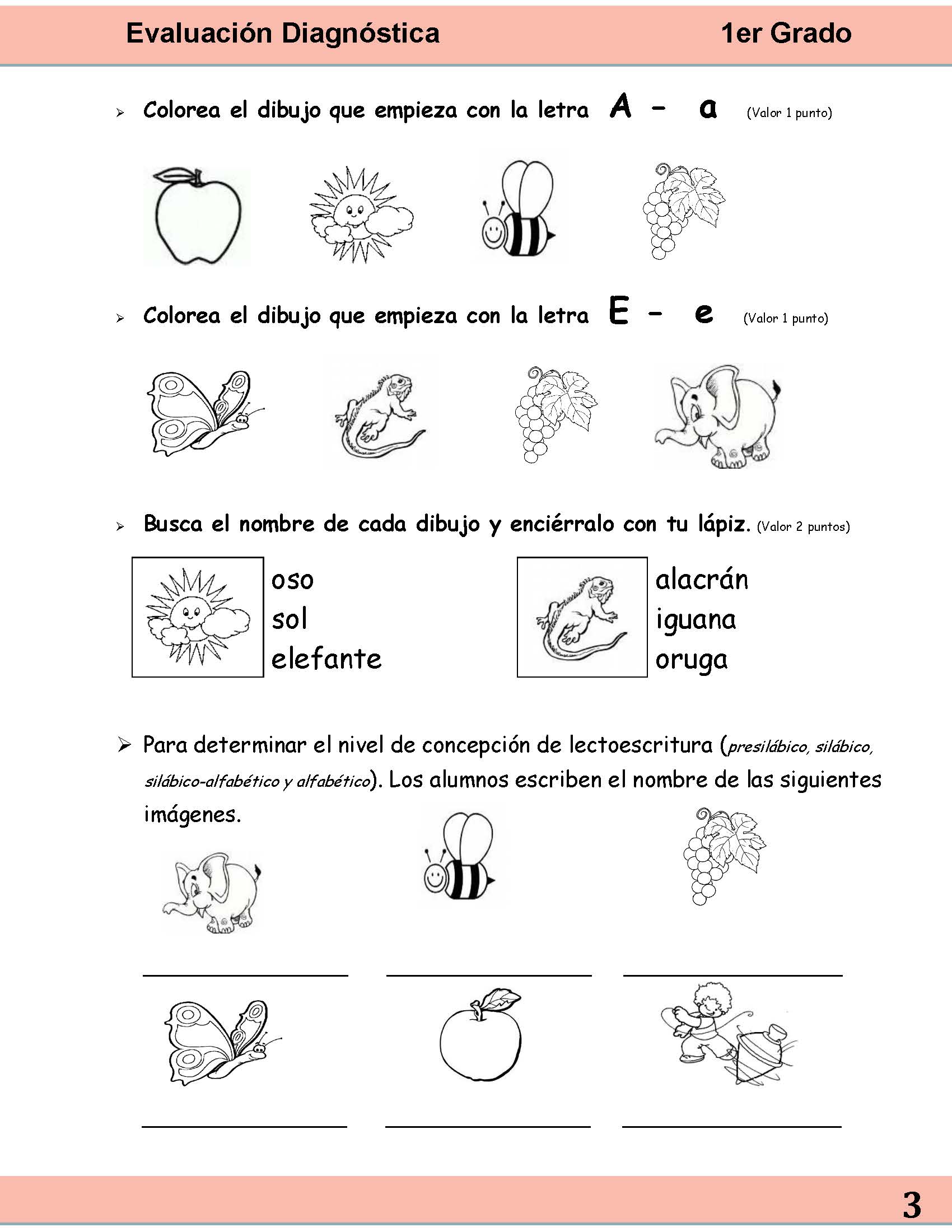 EVALUACIÓN DIAGNOSTICA 1º y 2º primaria - Imagenes Educativas