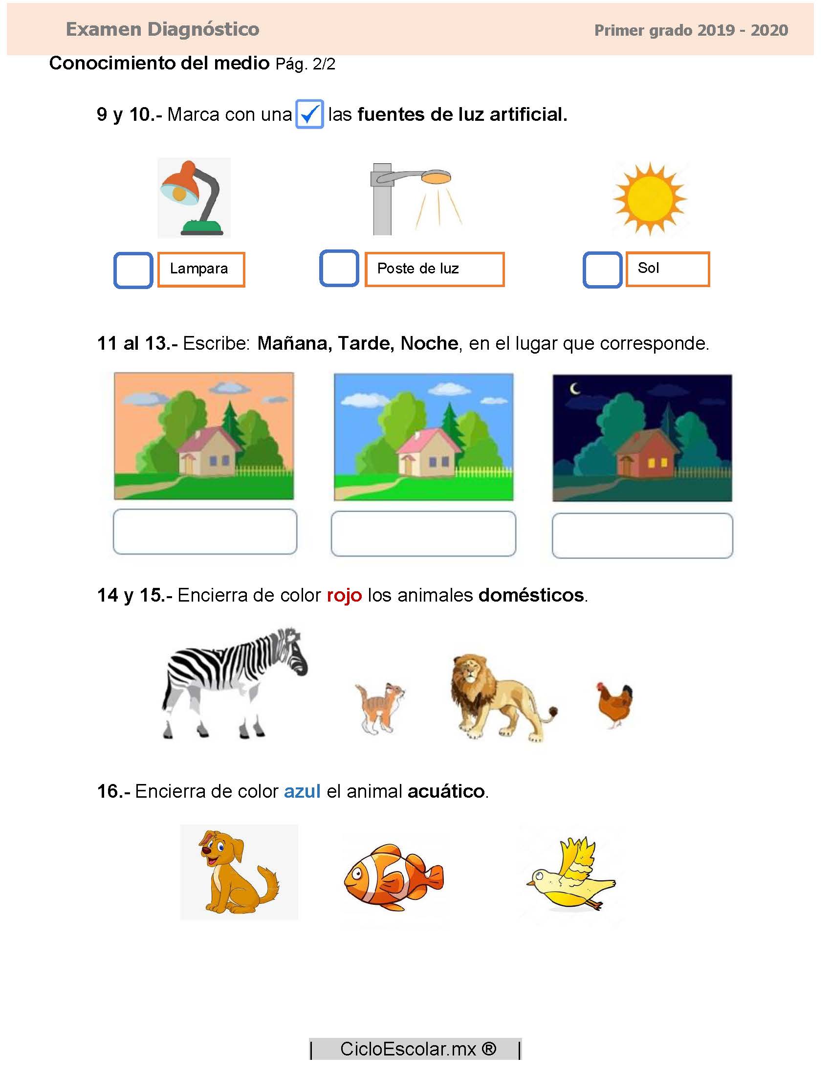 Examen Diagnóstico PRIMER grado 2019-2020 - Imagenes Educativas