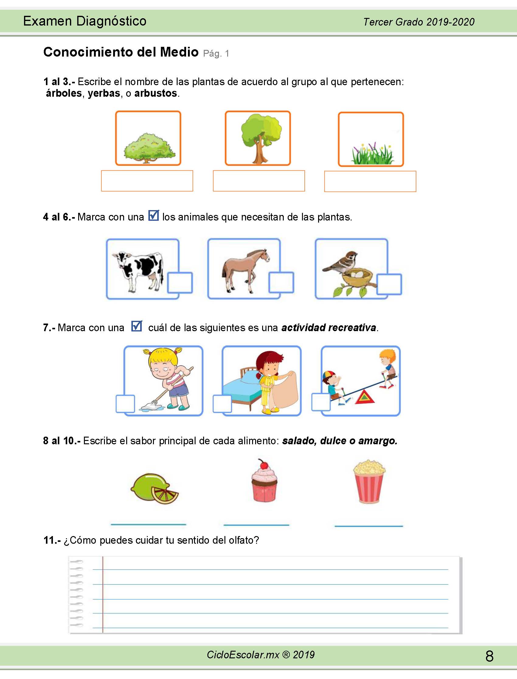EXAMEN-DIAGNÓSTICO-TERCER-GRADO-2019-2020_Página_08 - Imagenes Educativas
