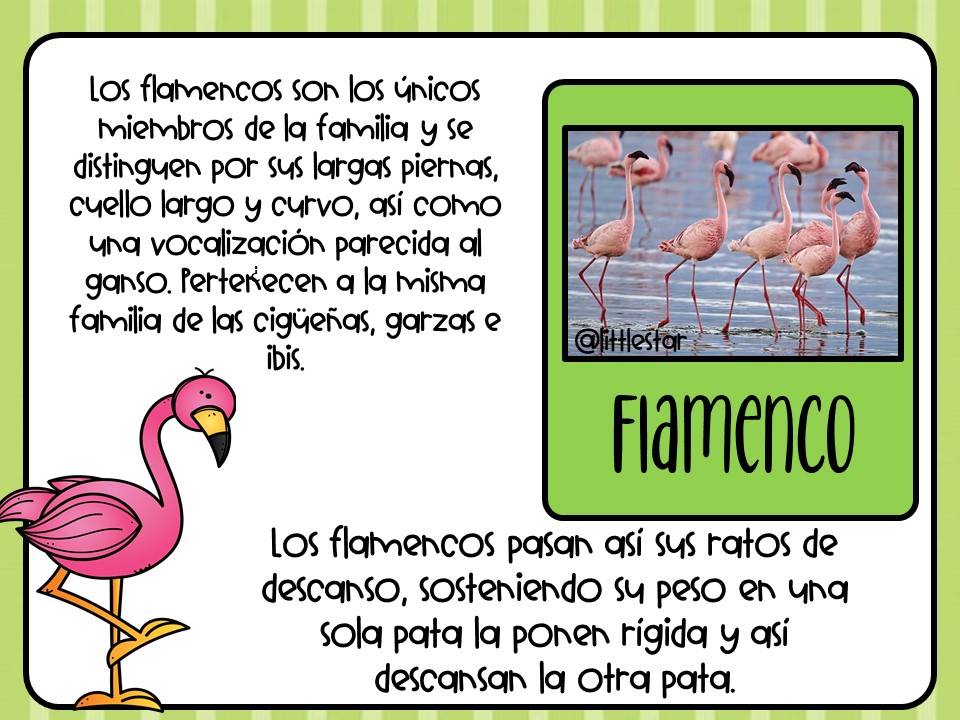 Notas Informativas Para Niños Cortas Nota Informativa Concepto