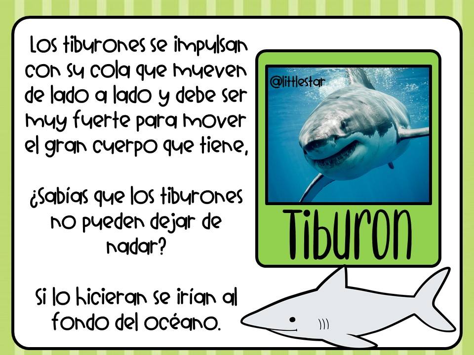 Notas Informativas Para Niños De Primaria Nota Informativa Ceip Don
