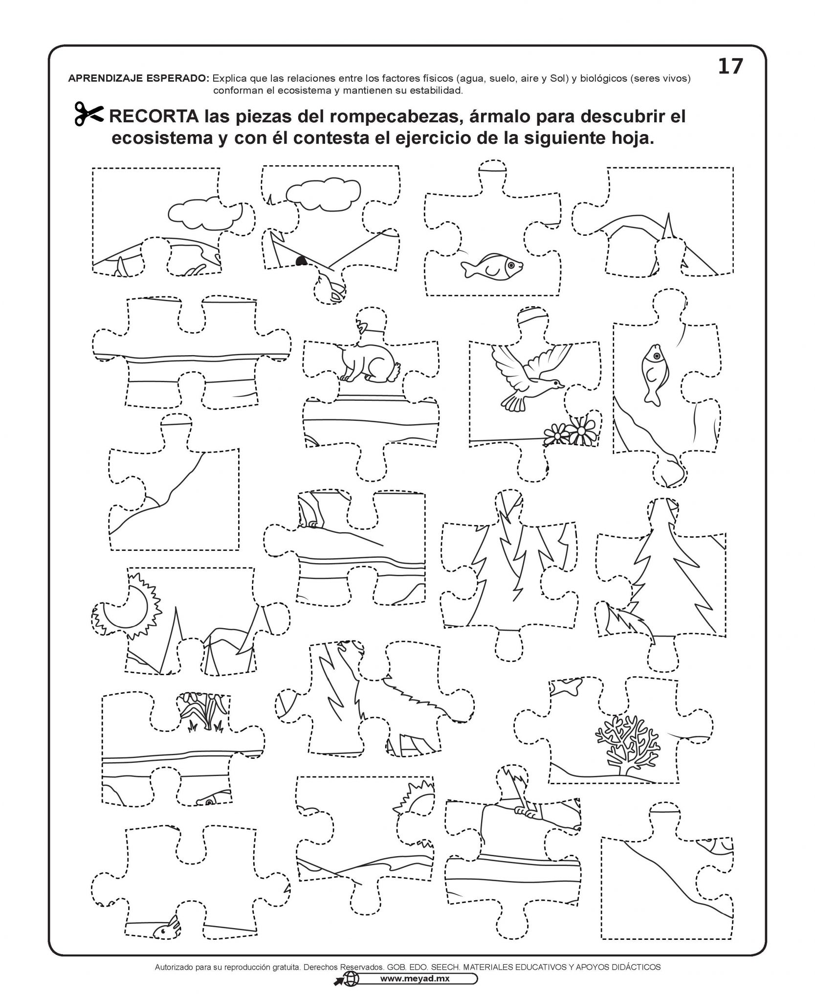 MATERIAL DIDÁCTICO DE APOYO BLOQUE 2 ENERO-FEBRERO. 4º-5º Y 6º GRADO ...