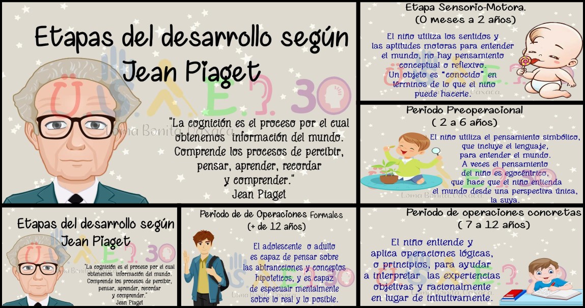 Etapas Del Desarrollo SegÚn Piaget Imagenes Educativas