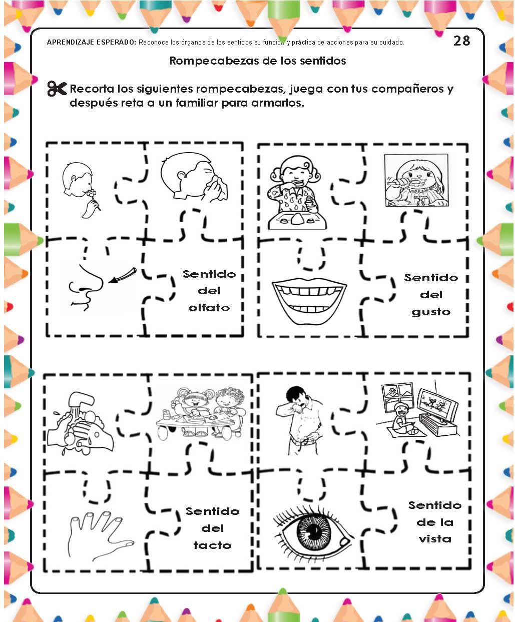 2°-GRADO-MATERIAL-DE-APOYO-AGOSTO-NOVIEMBRE_Página_28 - Imagenes Educativas