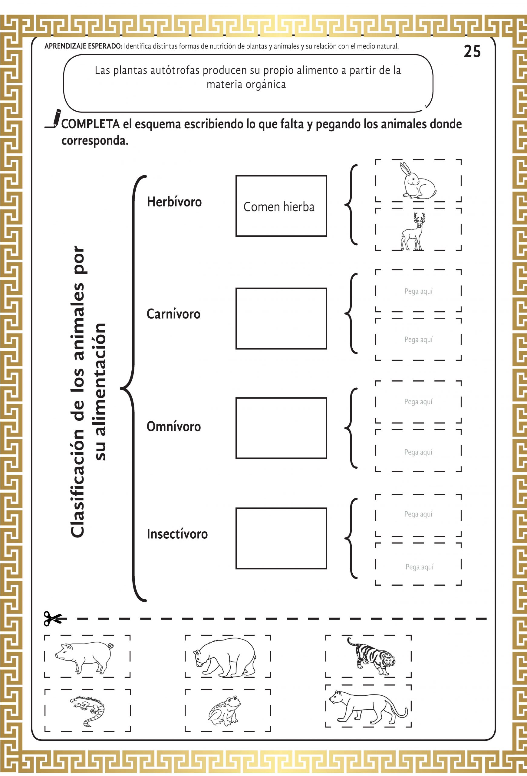 3°-GRADO-MATERIAL-DE-APOYO-AGOSTO-NOVIEMBRE_Página_25 - Imagenes Educativas