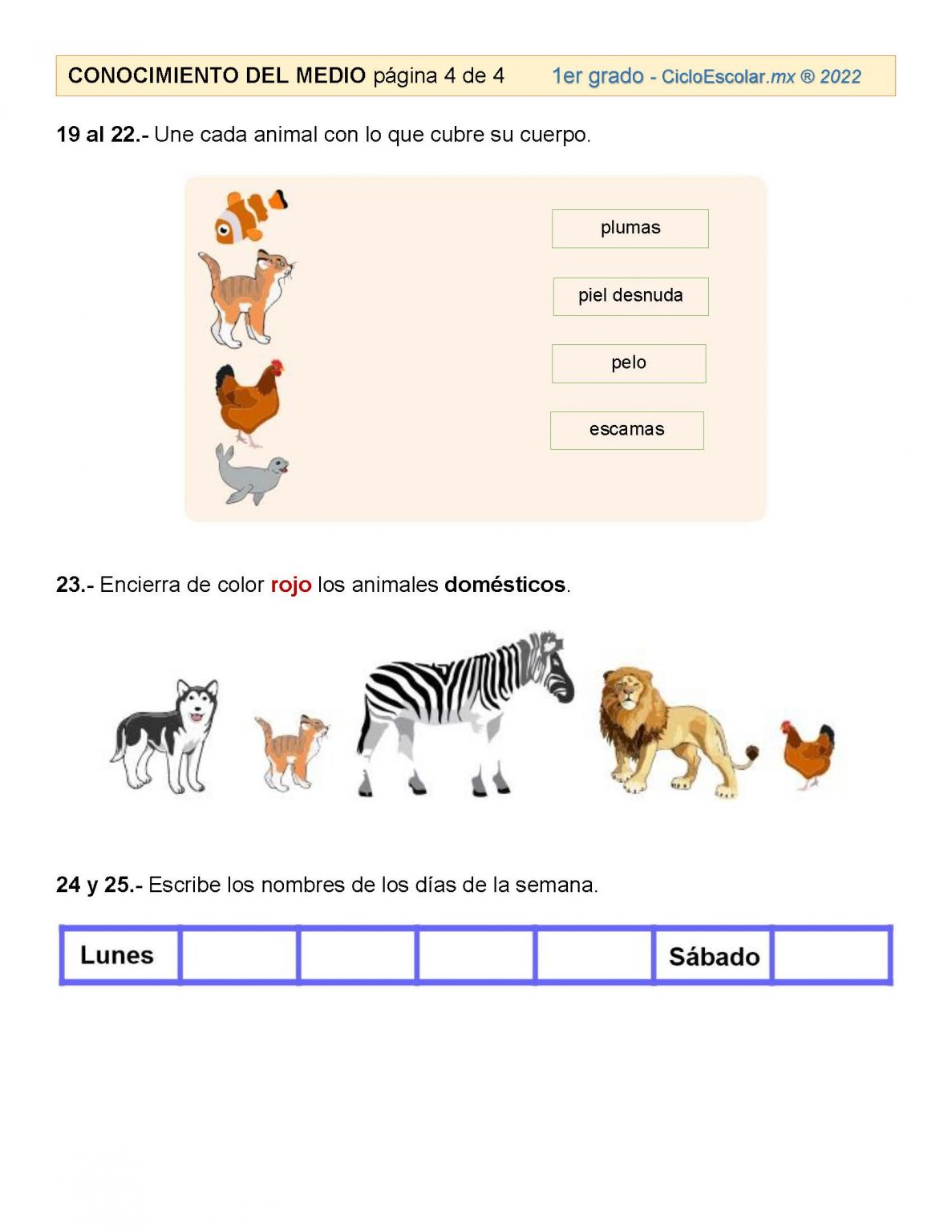 Examen Trimestre Bloque I 1° Primaria Ciclo Escolar 2022 2023 4919